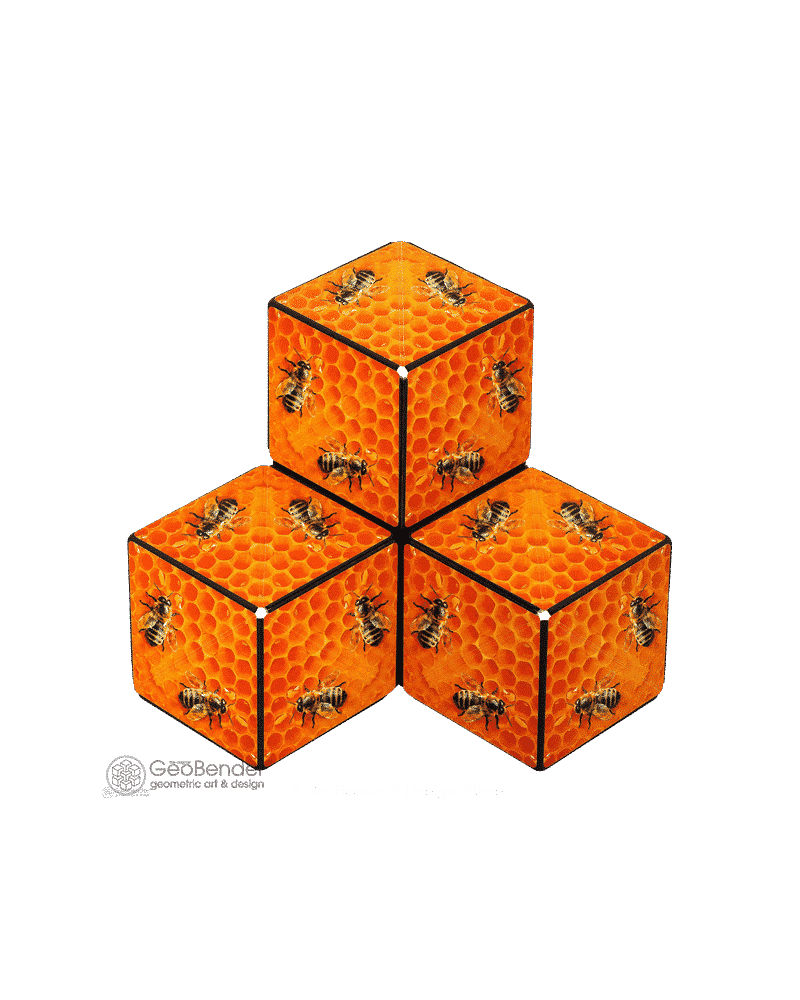 Cube Geobender "Bees" – Serpent à Lunettes