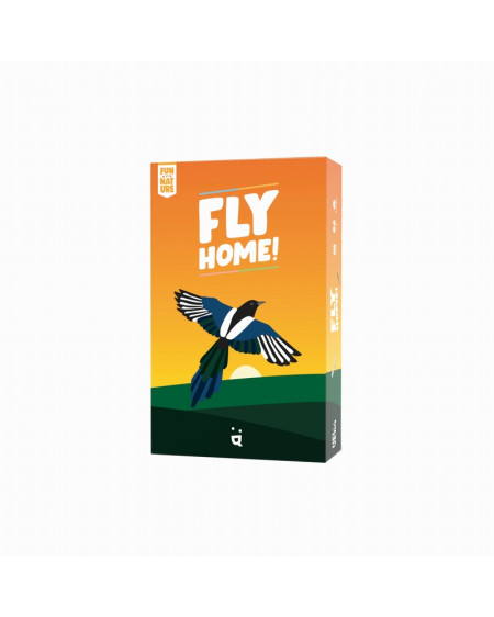 Fly Home