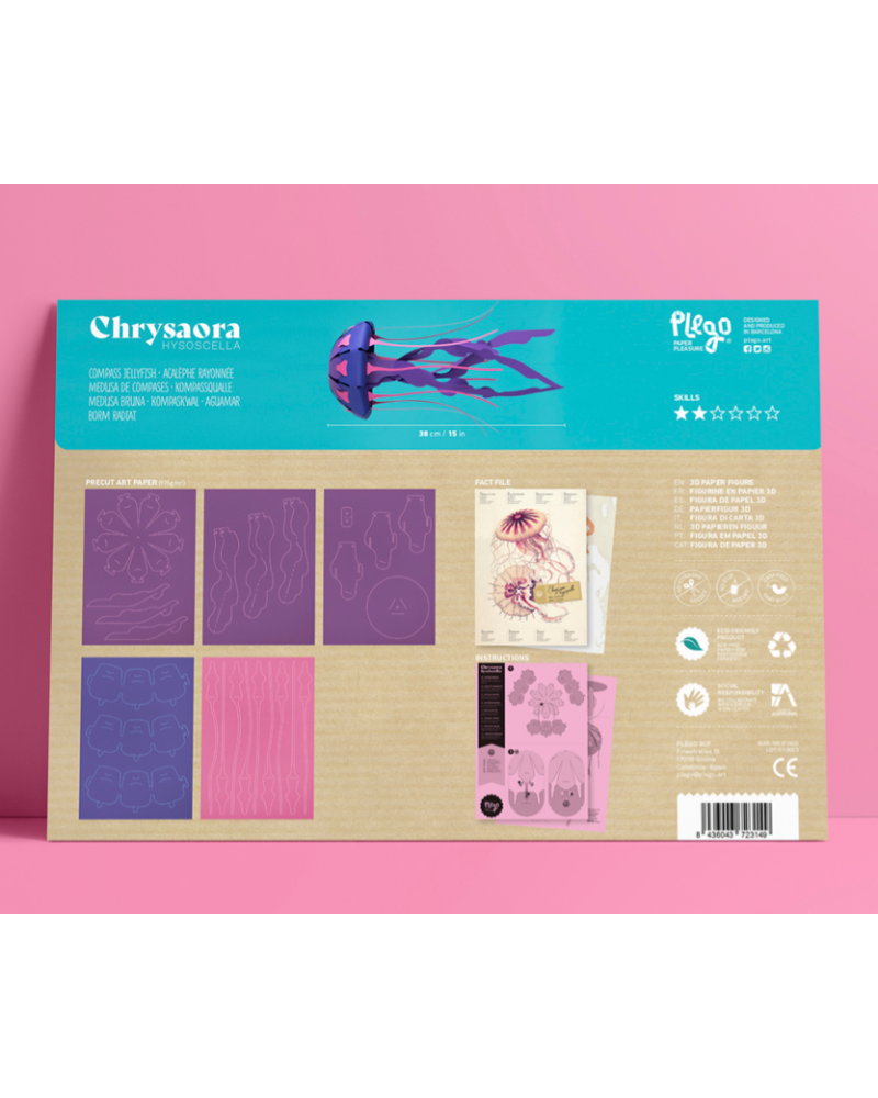 Origami Méduse rayonnée Chrysaora hysoscella