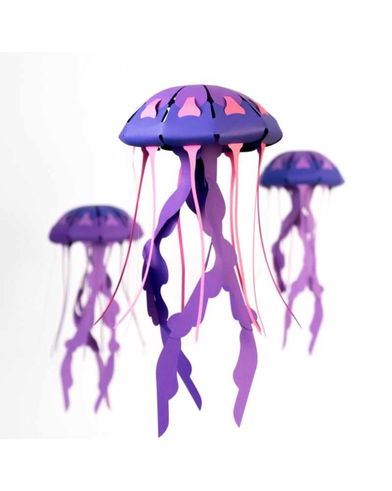Origami Méduse rayonnée Chrysaora hysoscella