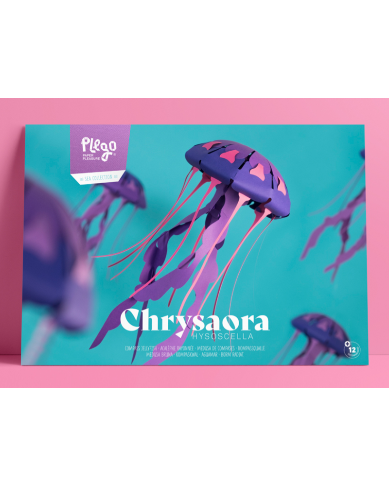 Origami Méduse rayonnée Chrysaora hysoscella